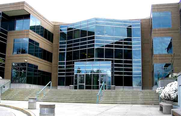 Microsoft Corporation’s Organizational Structure & Its Characteristics ...