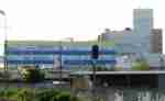 Unilever’s Organizational Structure Characteristics (An Analysis) - Panmore