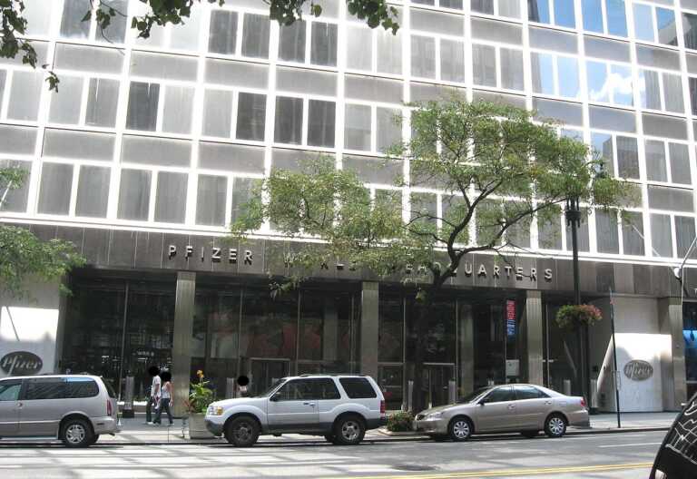 Pfizer’s Organizational Structure & Structural Components - Panmore